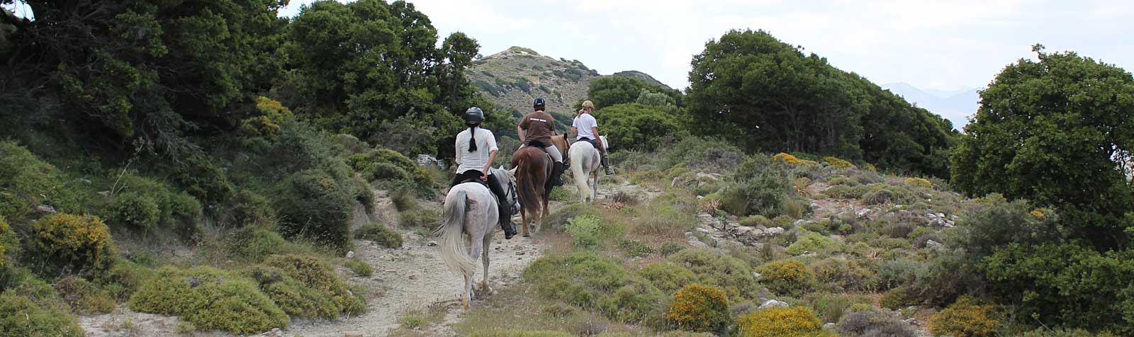 Horse Riding holidays Greece, Crete Island - Odysseia Stables